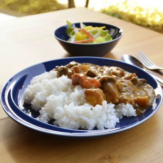 HASAMI MAIN PLATE BLUE – Kumo
